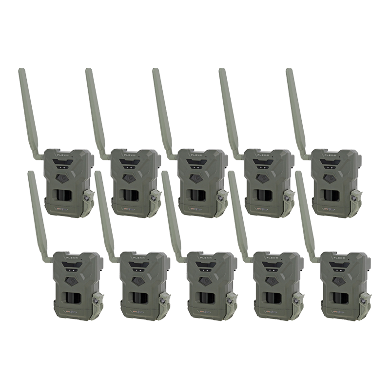 Pack Flex M x10 Spypoint